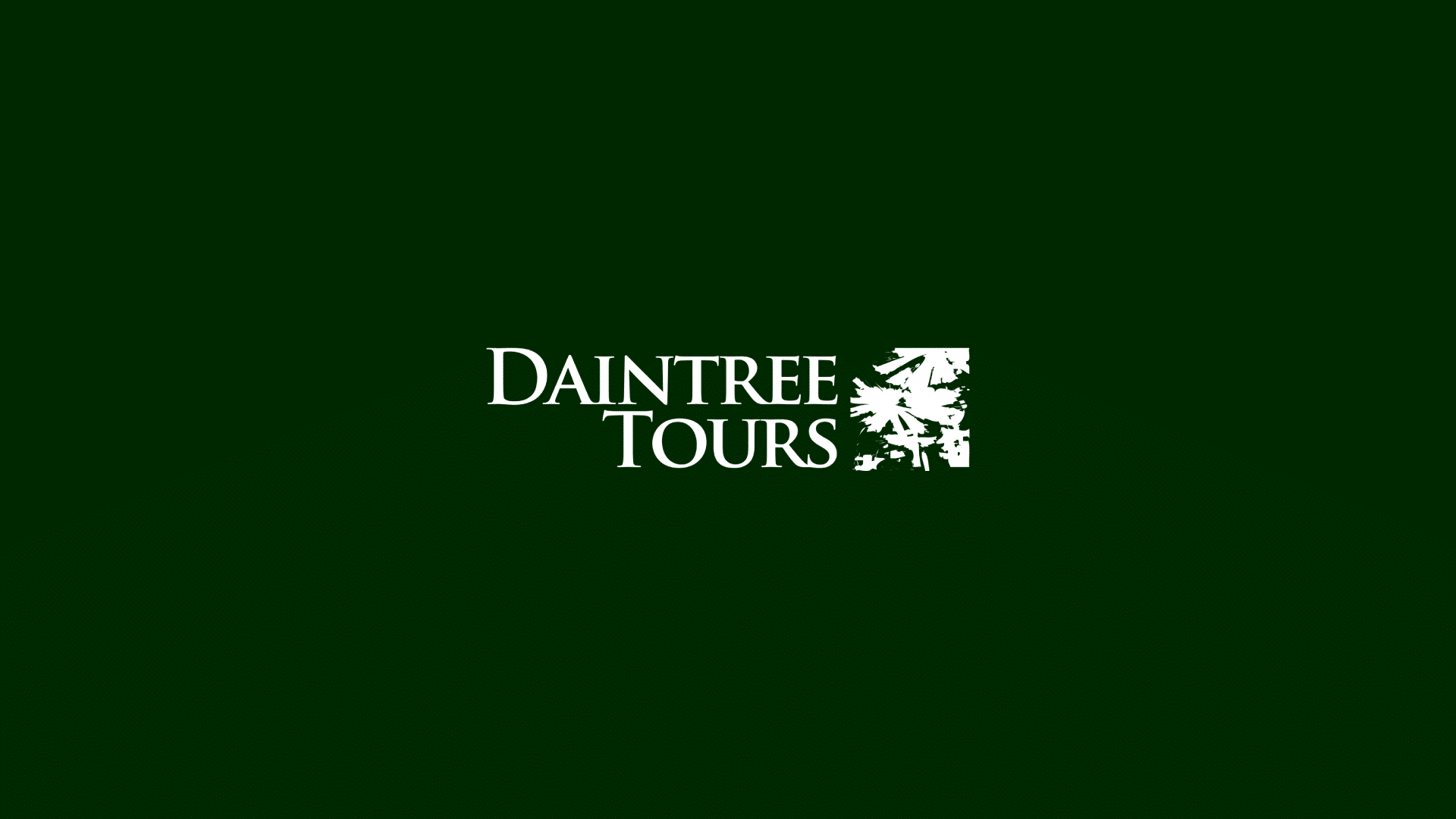 Daintree Tours - Hopscotch Digital